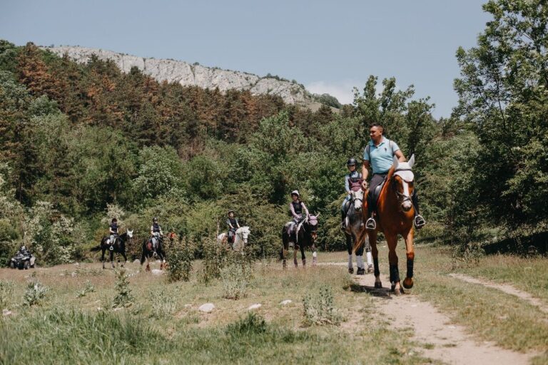 Magie și lux, la doi pași de Cluj: WONDERLAND - locul creat de Darius ...